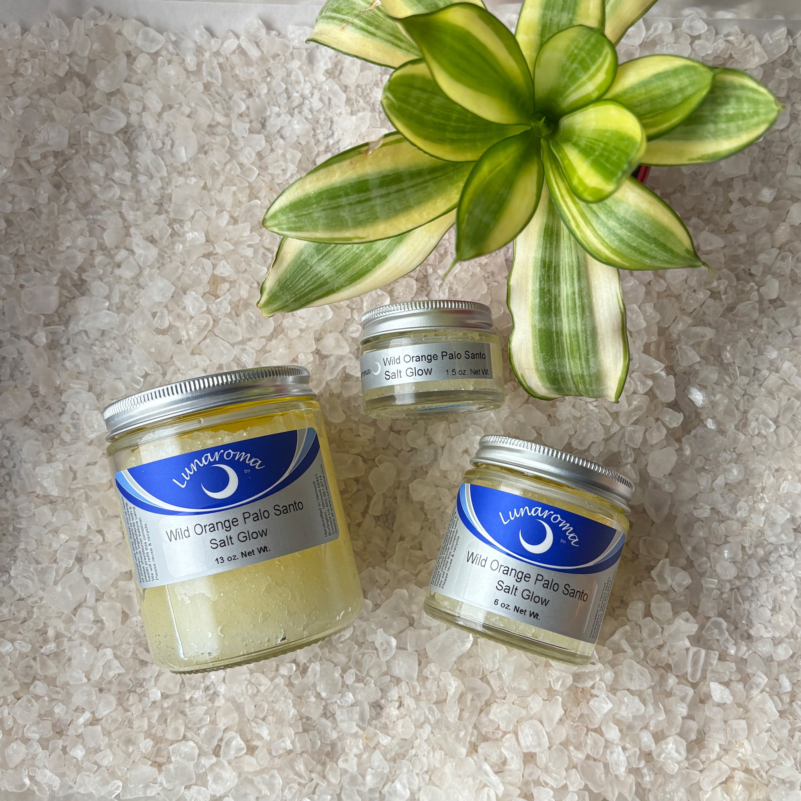 Wild Orange Palo Santo Salt Glow *New* – Lunaroma Aromatic Apothecary